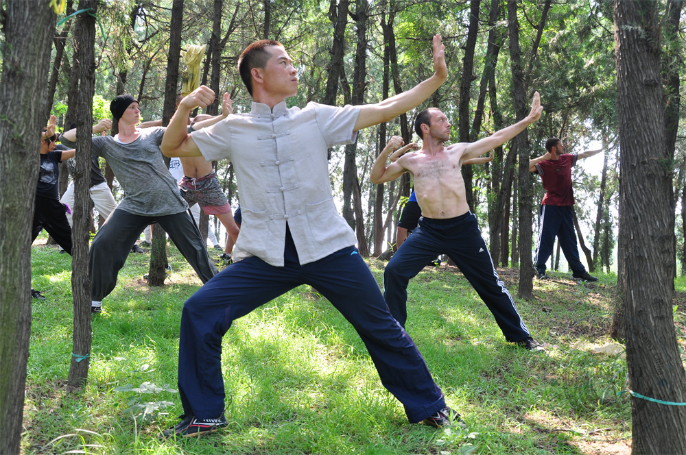 Qi Gong - Maling Shaolin Kung Fu Academy