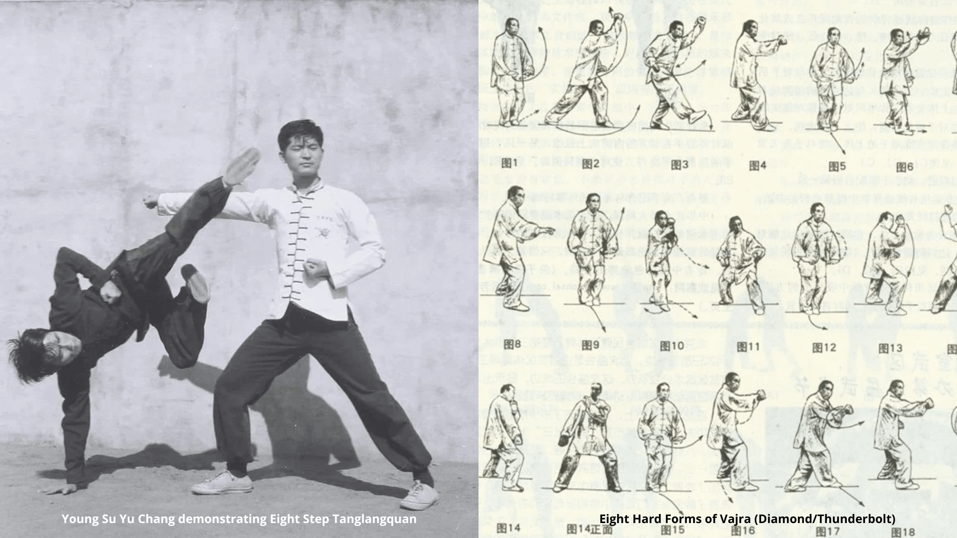 Baji: The Fierce Art of Eight Extremes - Maling Shaolin Kung Fu Academy