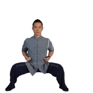 The Stance Series: Horse Stance (Ma Bu) - Maling Shaolin Kung Fu Academy