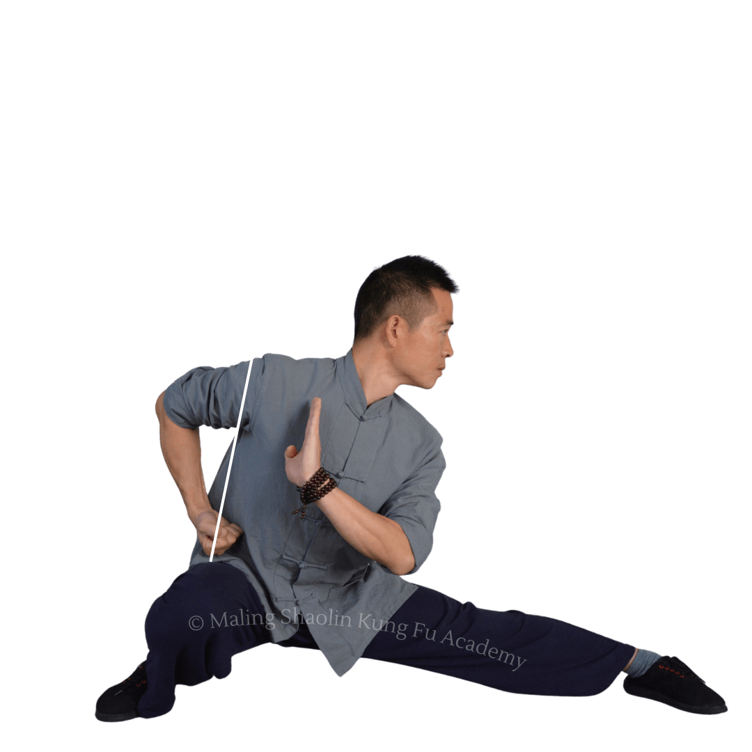 The Stance Series: Low Stance (Pu Bu) - Maling Shaolin Kung Fu Academy