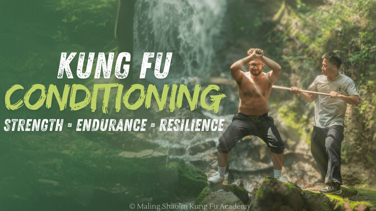 Tiger Style Kung Fu: Power, Ferocity, and the Spirit of the Beast ...