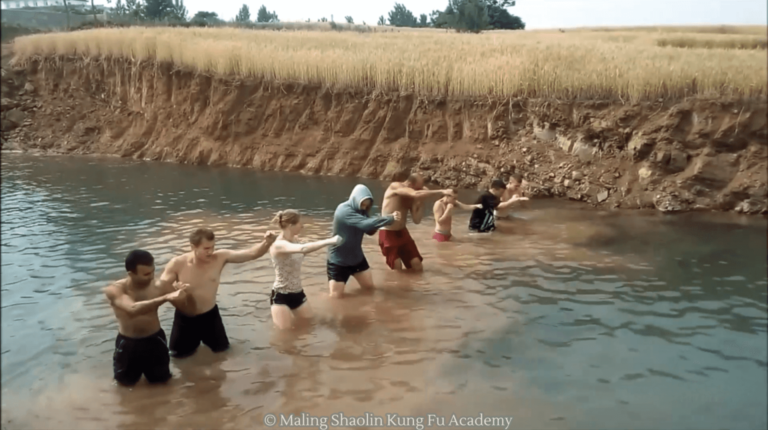 Conditioning in Kung Fu: Building Strength, Endurance, and Resilience ...